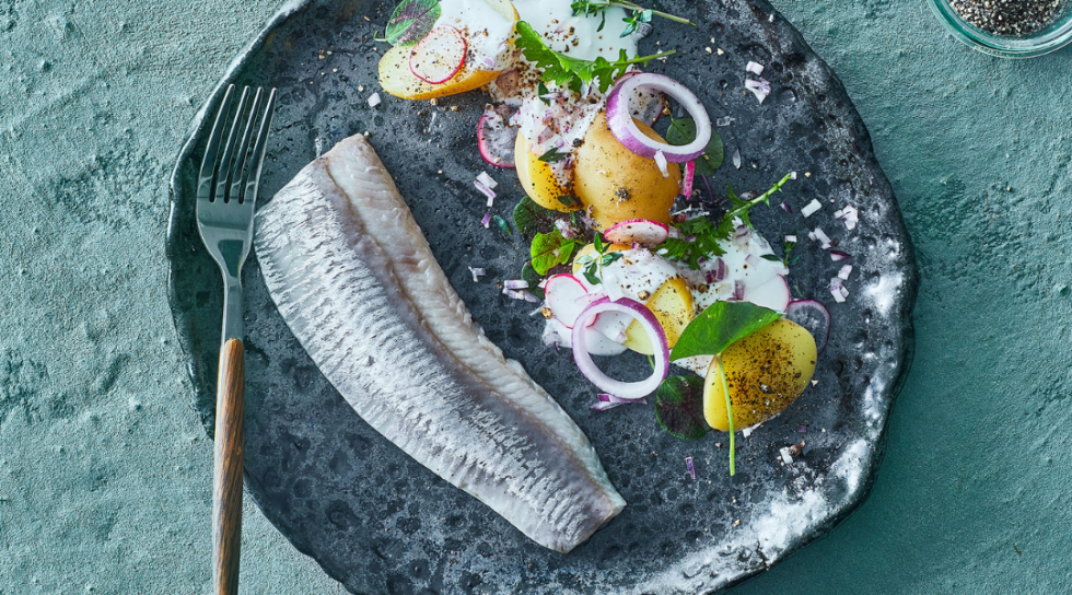 Udfordrende periode og utilfredsstillende regnskab hos Tenax Sild A/S ...